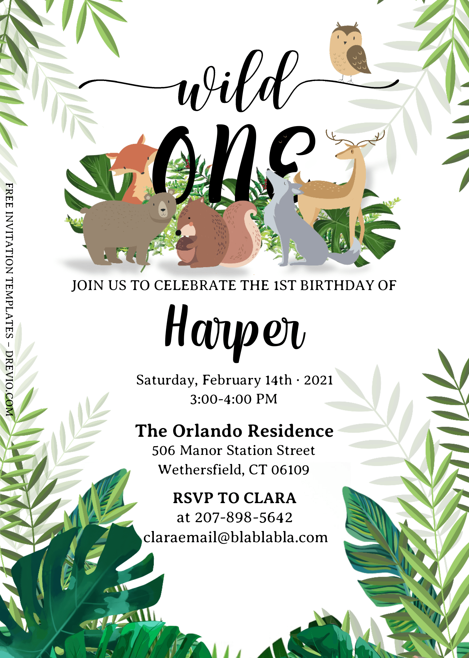 Wild One Invitation Templates - Editable With MS Word