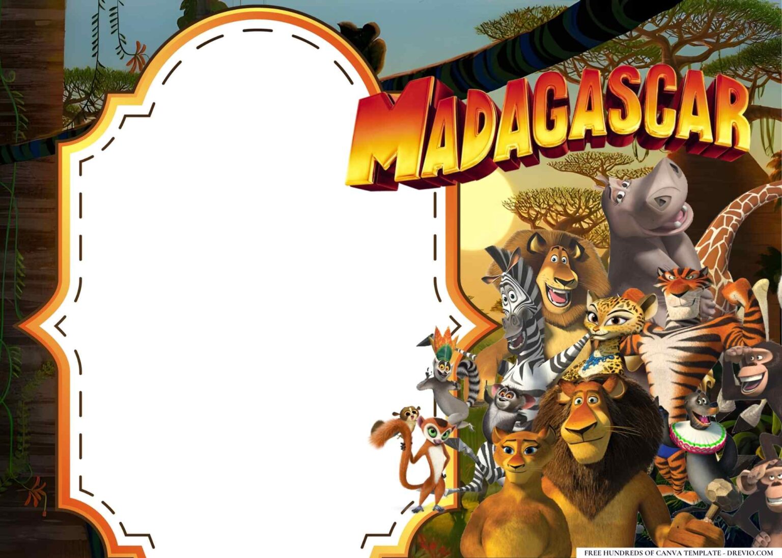 Madagascar Birthday Party Planner