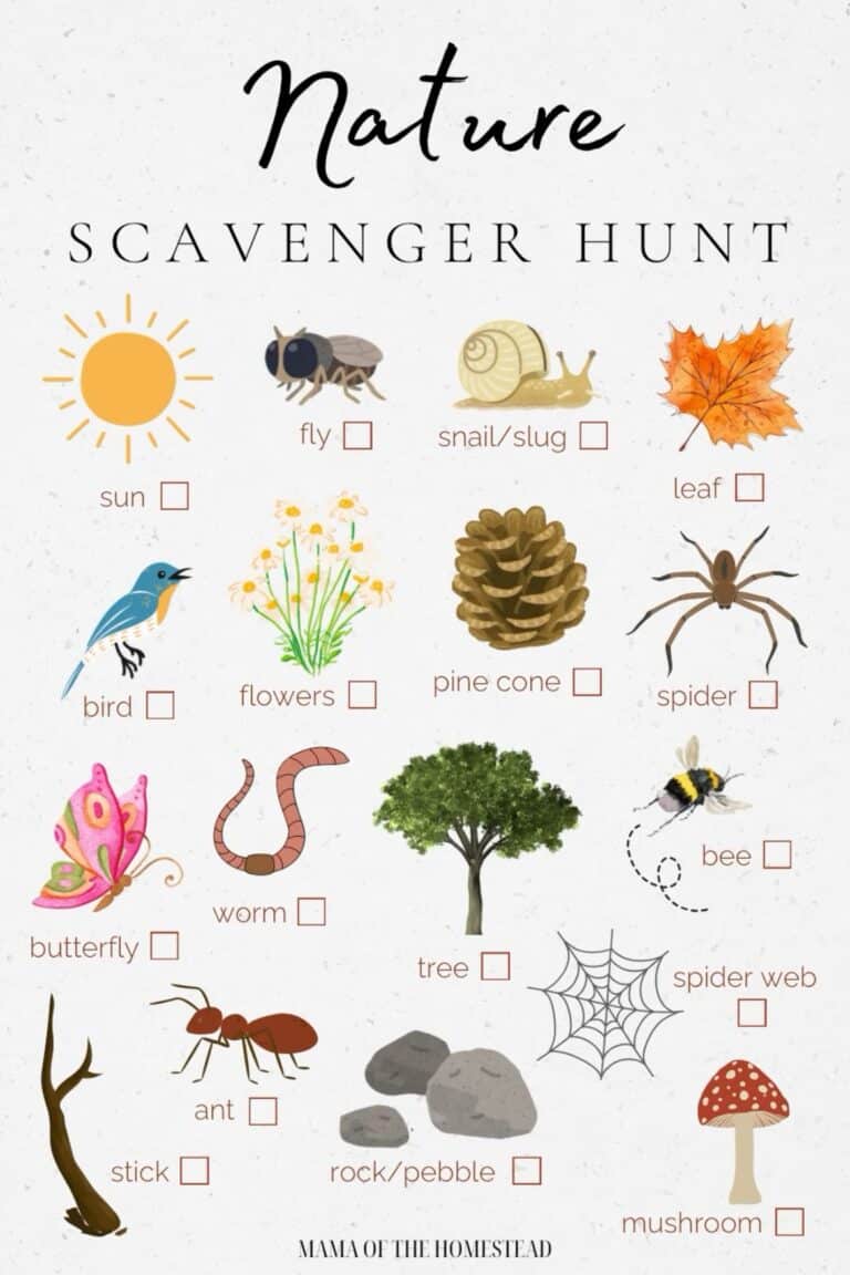 Summer Scavenger Hunt Fun with Free Printables