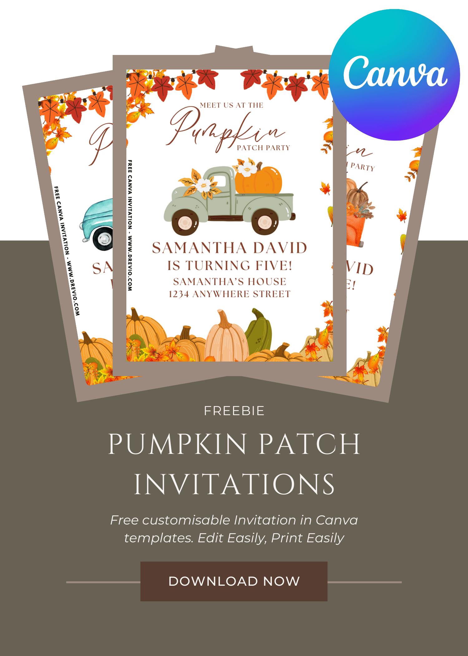 FREE Cute Fall Pumpkin Patch Invitation Template